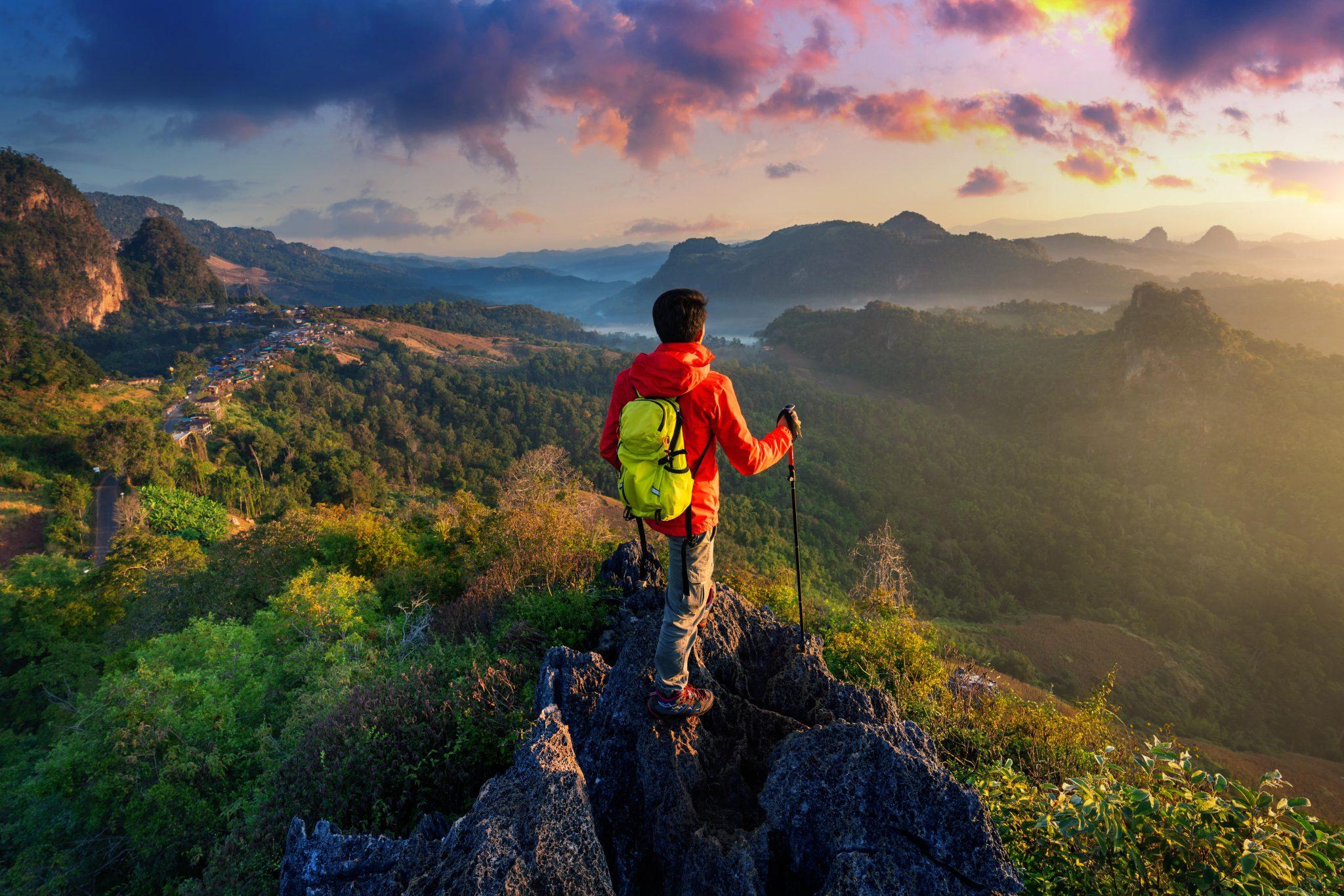Home - Gogo Travel Group